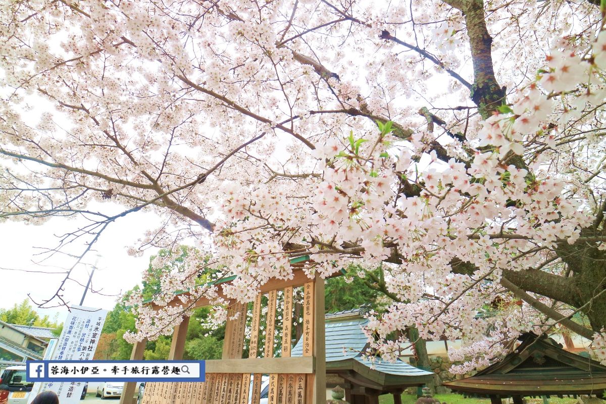 去趣chicTrip｜網頁版 - Himurojinjahonden